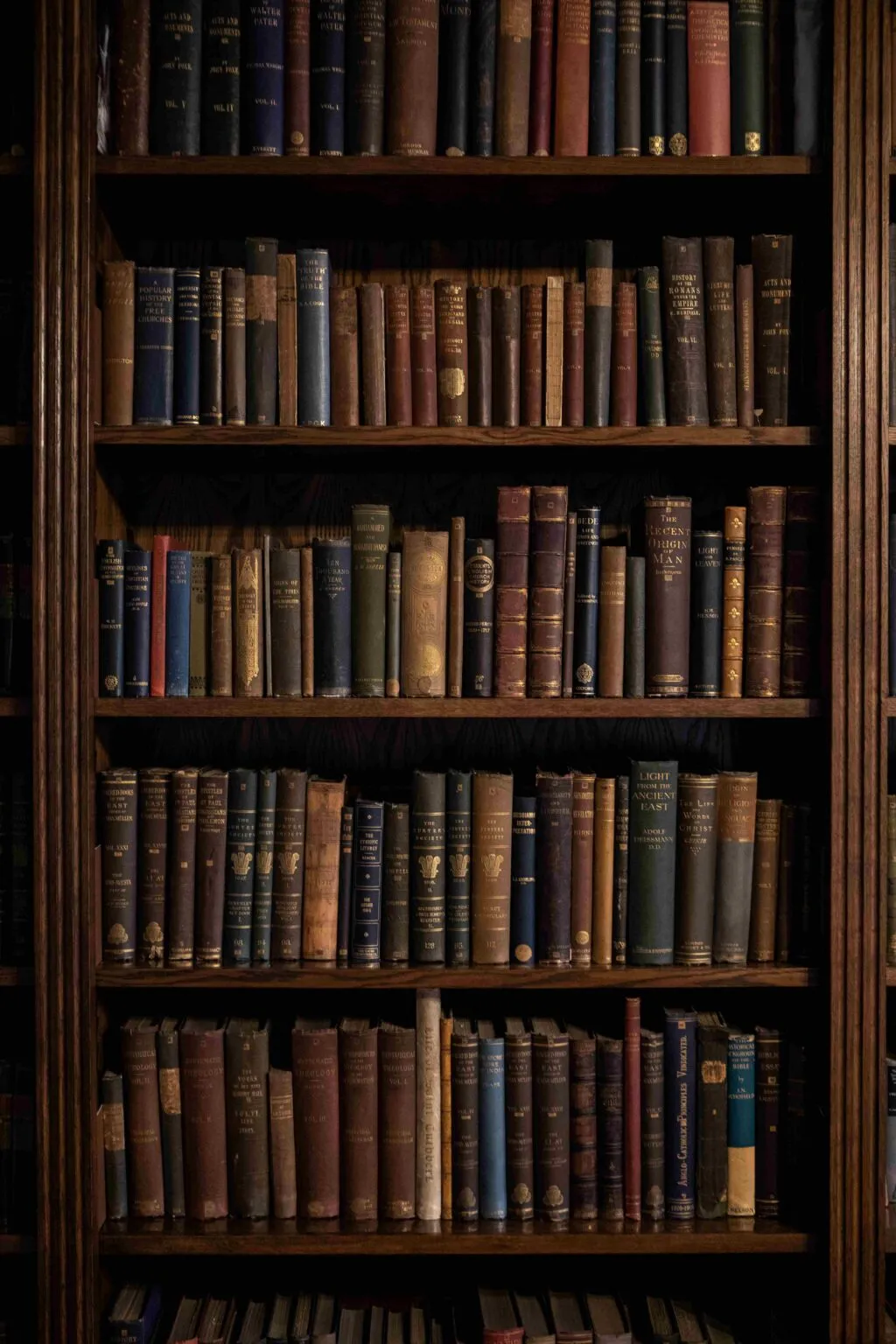 About Us | The Auckland Project