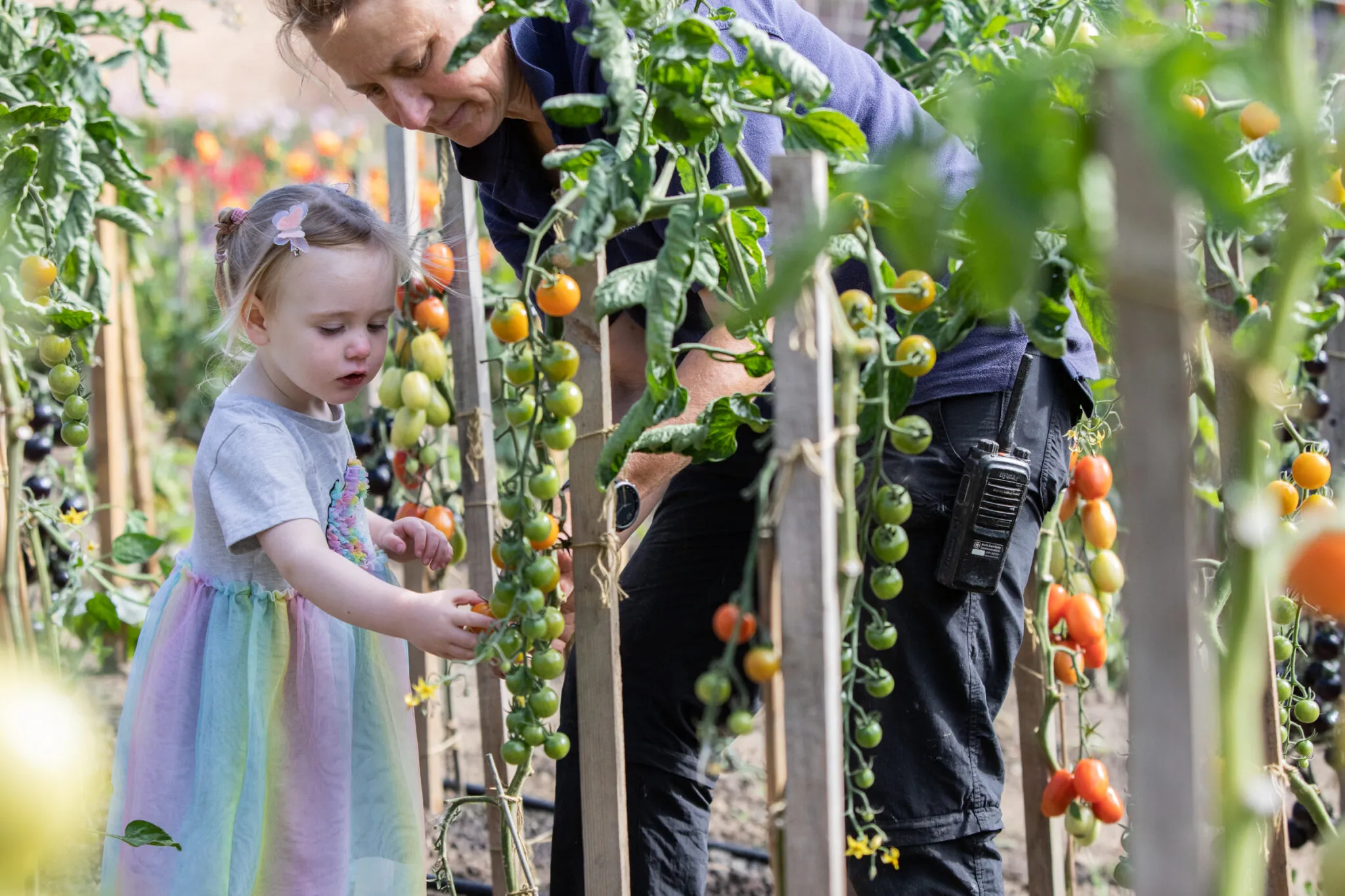 Auckland Gardens | The Auckland Project